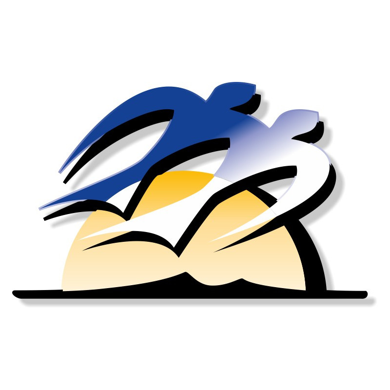 Knaus Royale logo kleuren sticker (ca.70x43cm)