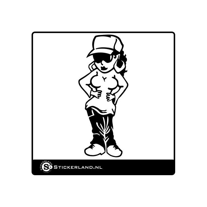 Diverse stickers (3)